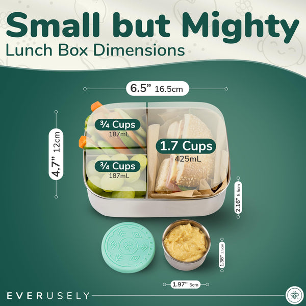 Small Bento Box for Kids - Mint – Everusely